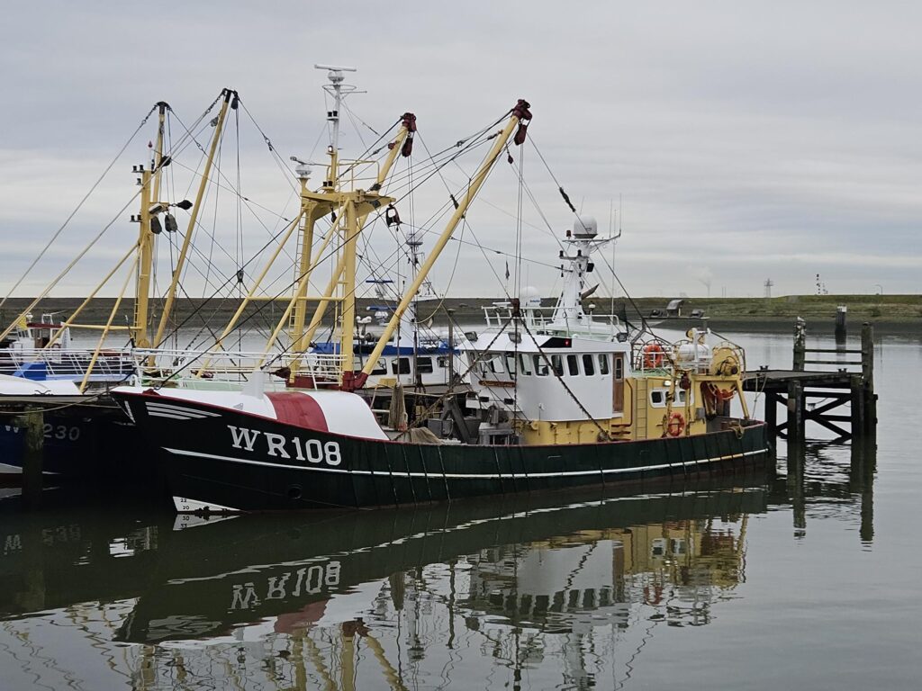 Viskotter kopen? | ESB Group | Garnalenkotters te koop